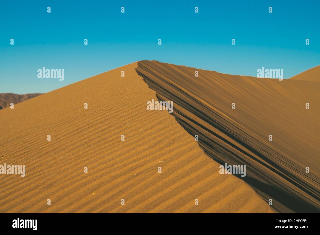 texture on a windswept sand dune Stock Photo - Alamy