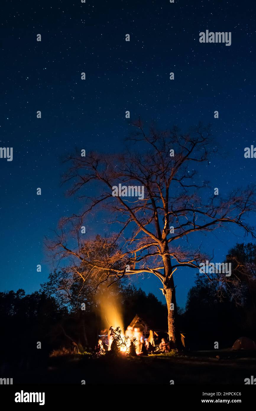 Bonfire under the big tree and night sky full of stars Stock Photo - Alamy