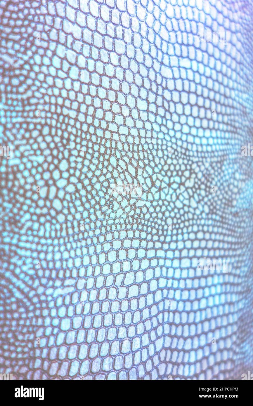 Coloured Real Snake Skin Snakeskin Animal Print Background Stock Photo ...