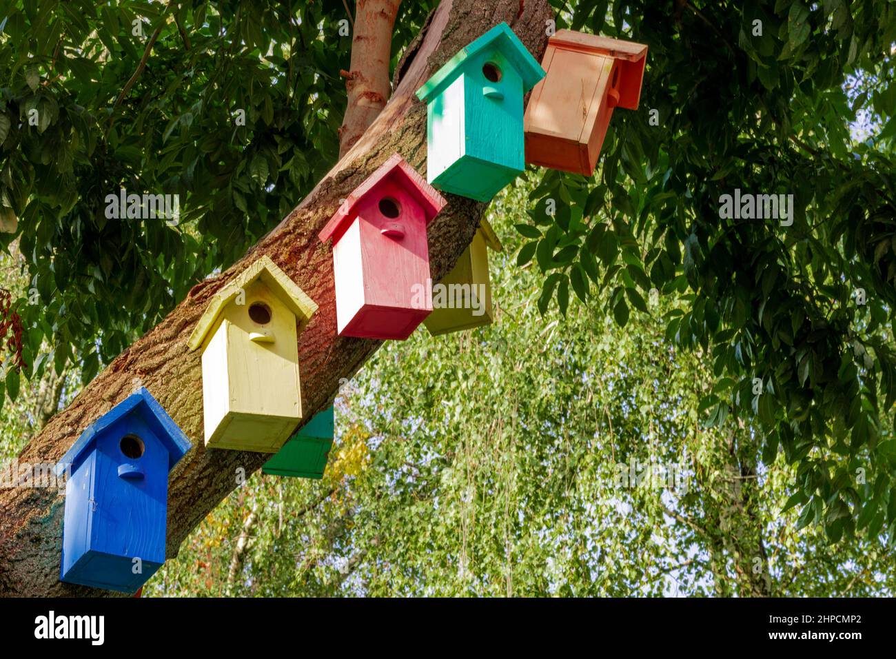 Multicolored Birdhouses.Colored nesting box. Colorful Bird Houses ...