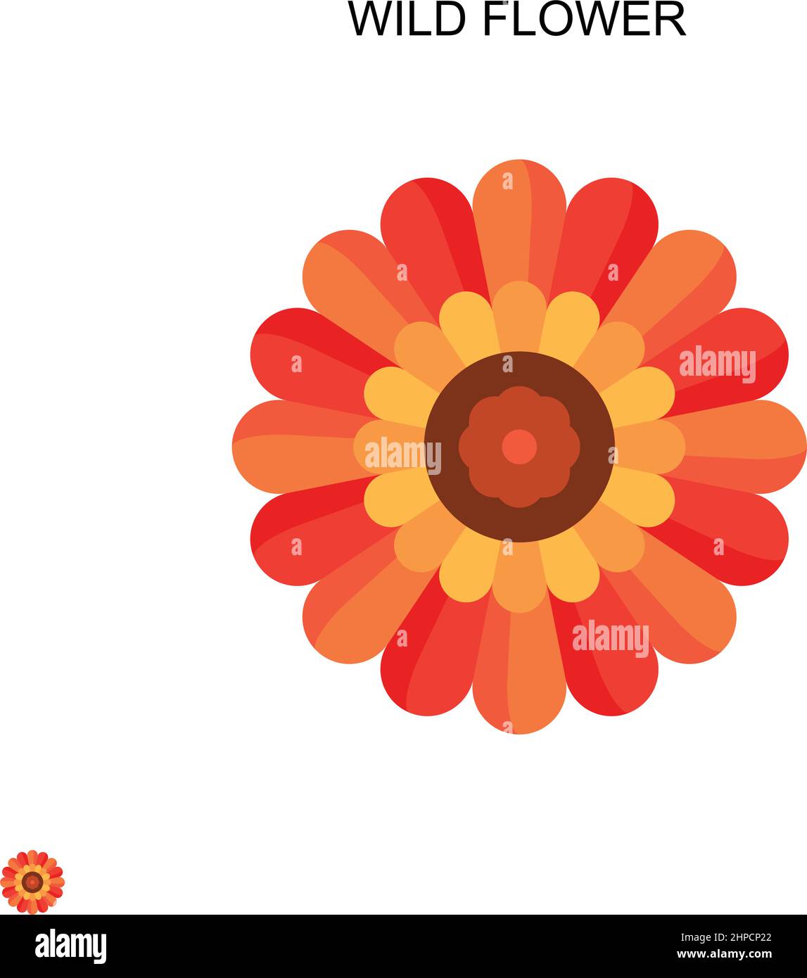 Vector wild flower hi-res stock photography and images - Alamy