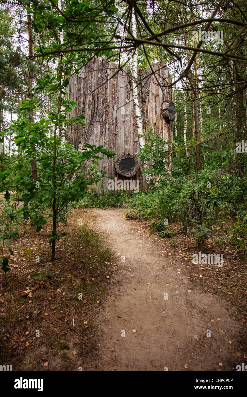 big secret tree in the middle of the forest Stock Photo - Alamy