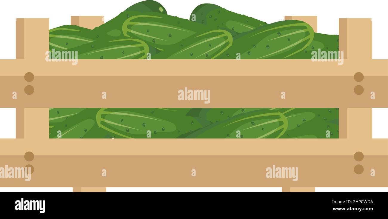 Wooden box with green cucumber. Delicious healthy vegetable, fresh food ...