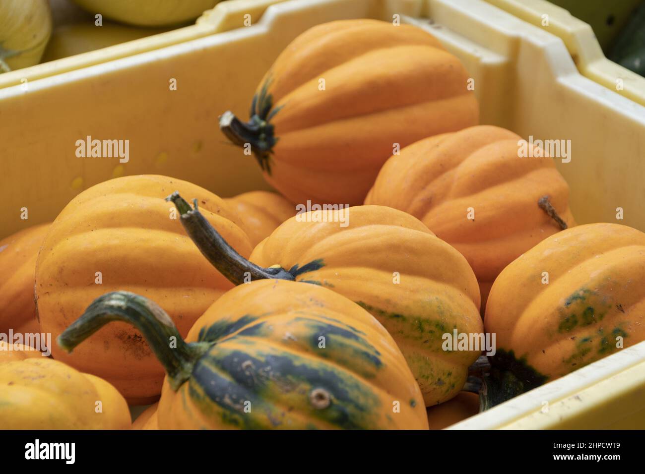 Collected in box hi-res stock photography and images - Alamy