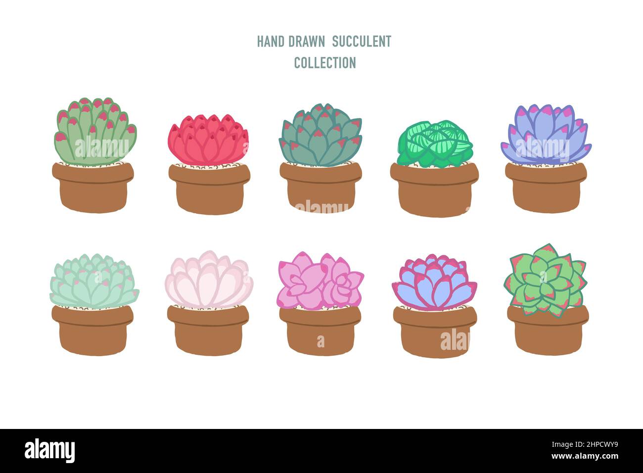 Hand drawn blue agave Stock Vector Images - Alamy