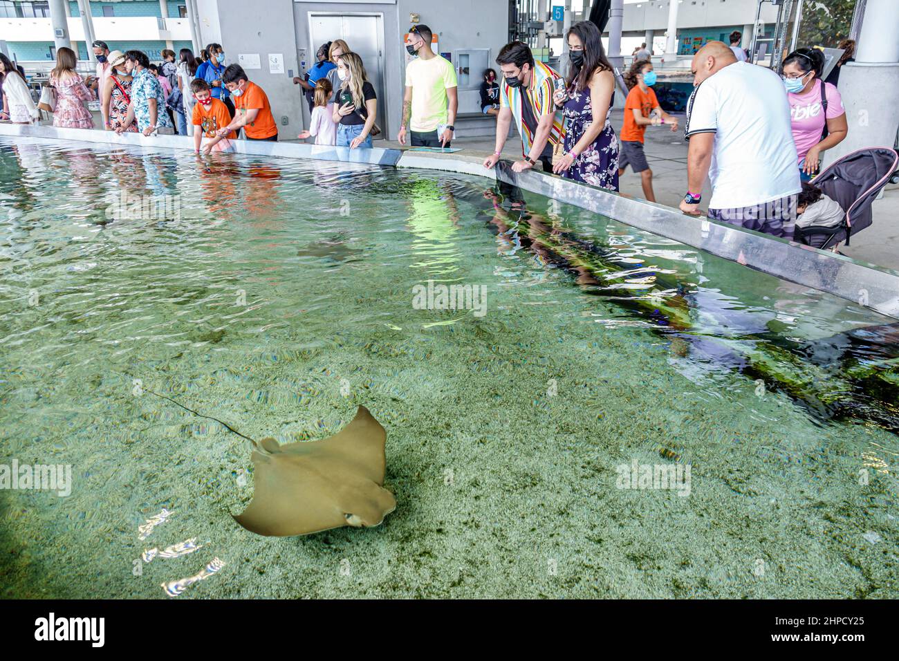 China Sting Ray Museum , Baiheliang Underwater Museum – LIHS