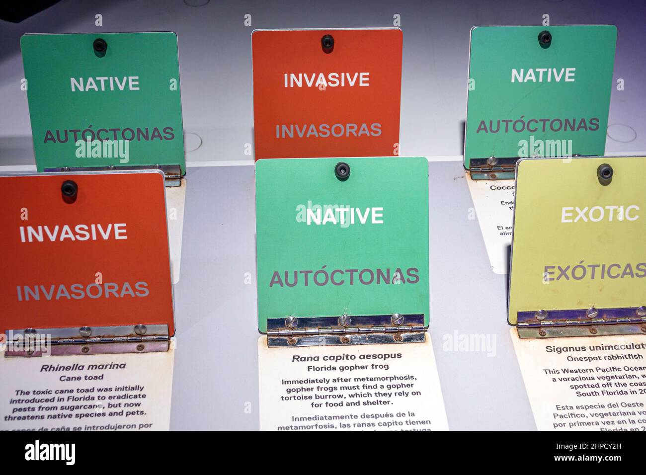 Inside interior exhibit native invasive exotic species hi-res stock ...