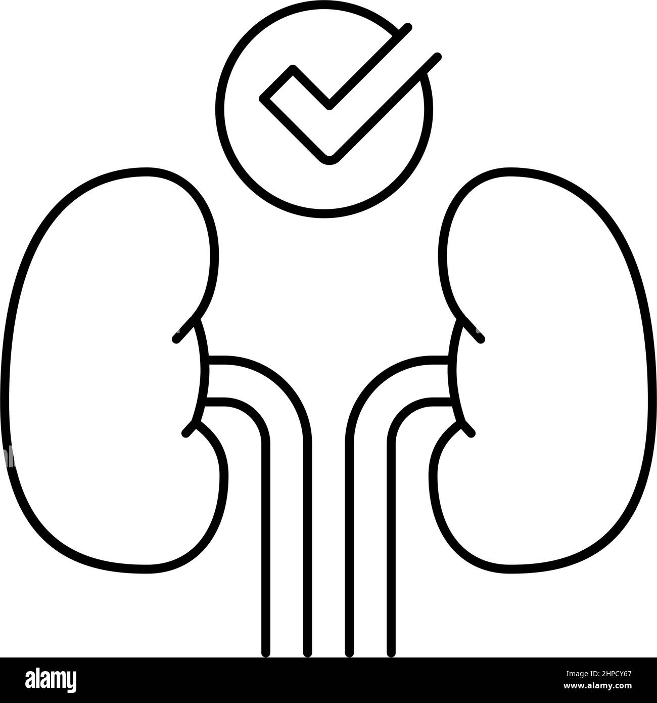 healthy kidneys line icon vector illustration Stock Vector Image & Art ...