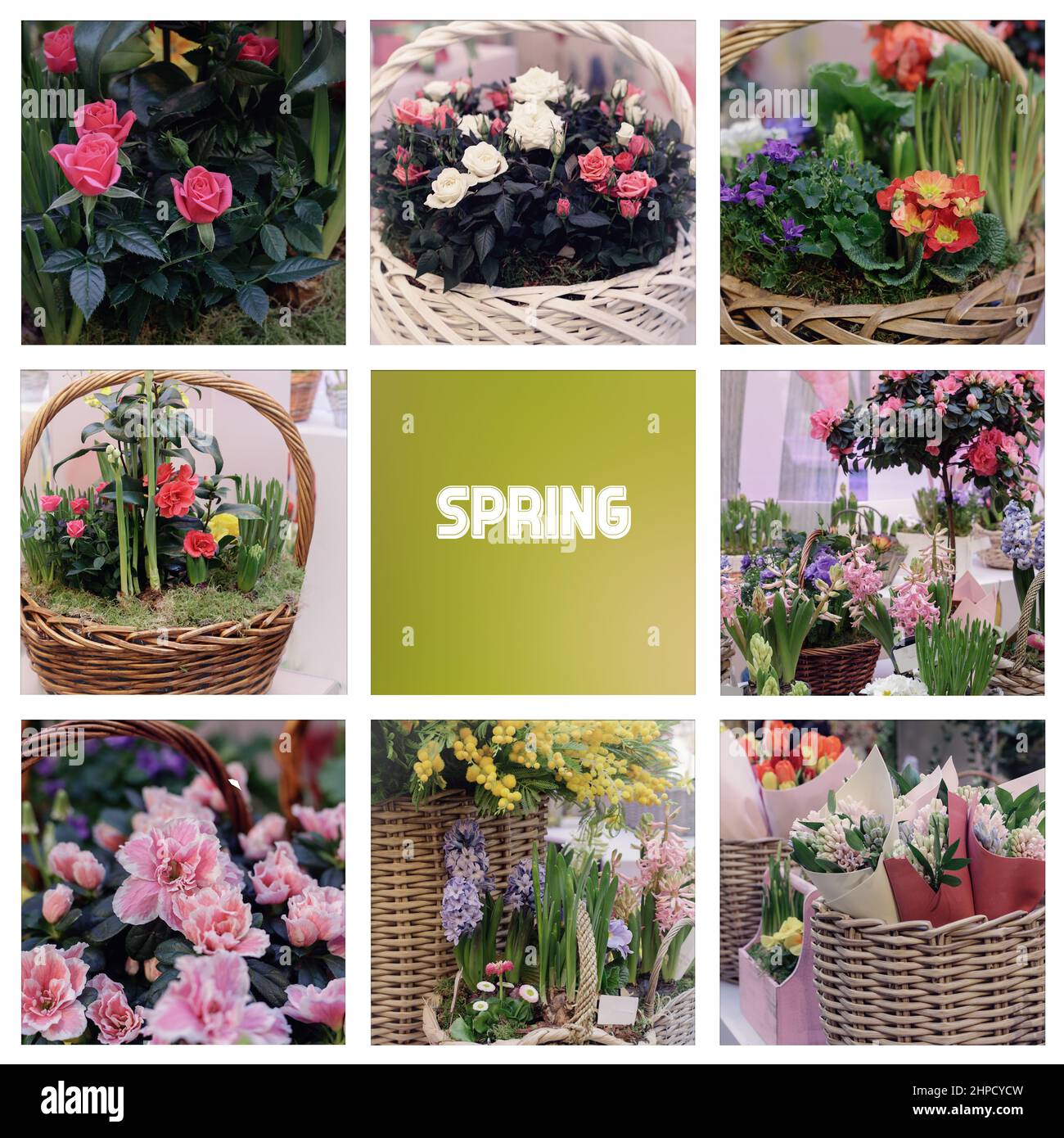 Bouquets different beautiful flowers Cut Out Stock Images & Pictures ...