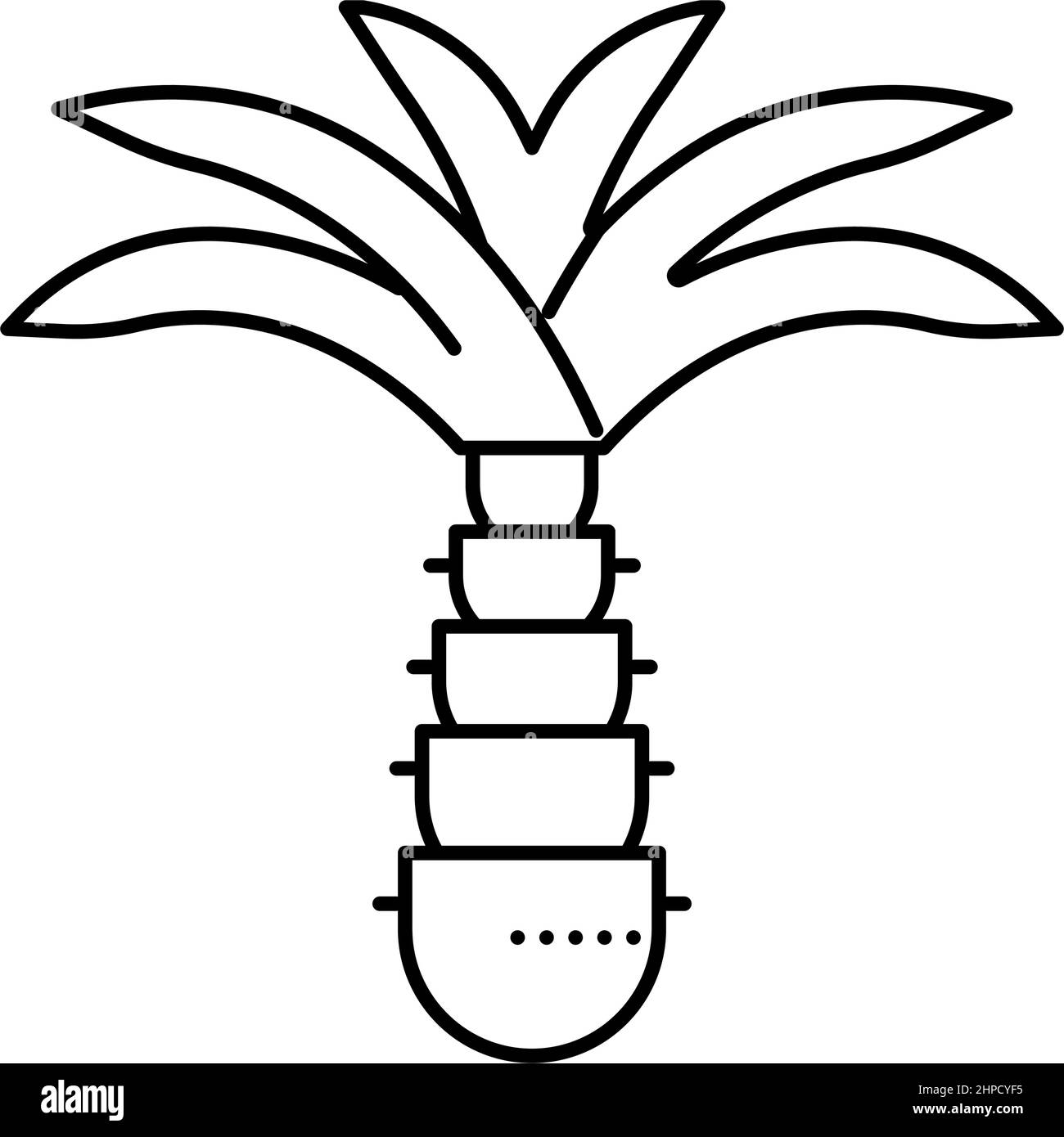 palm tree line icon vector illustration Stock Vector Image & Art - Alamy