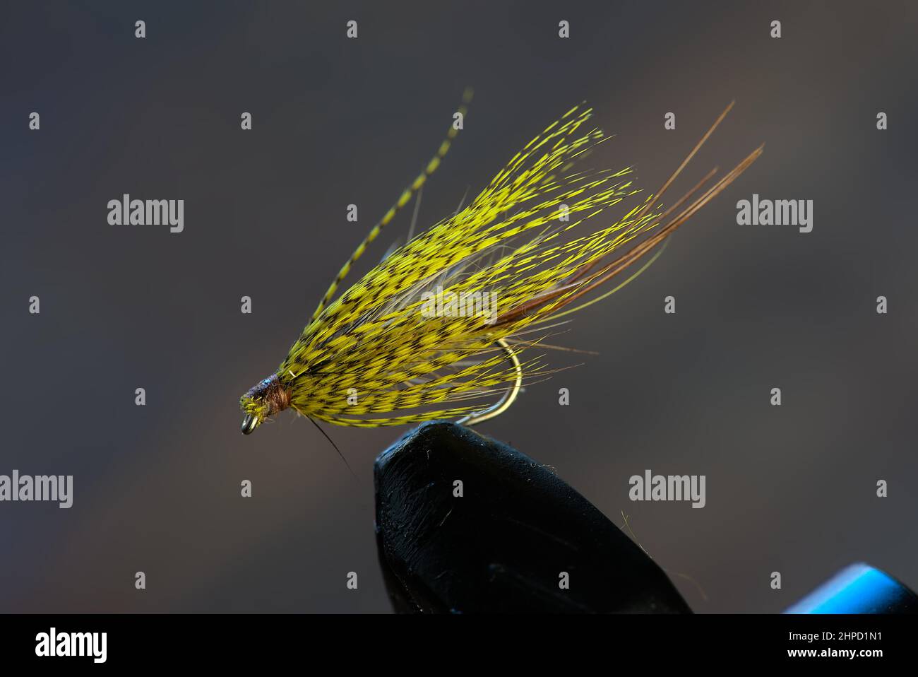 handmade fishing fly, fly tying Stock Photo - Alamy