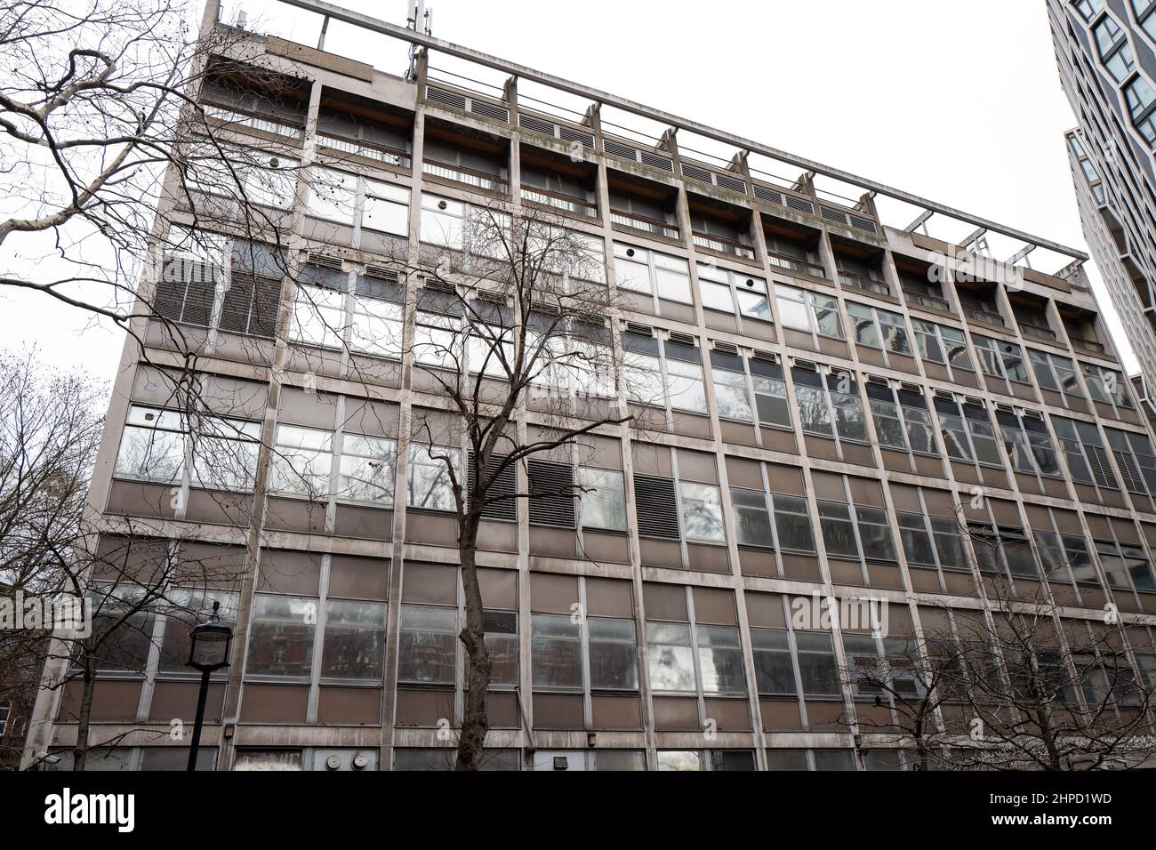 A lone tree outside a very grim building in London's Victoria area, UK ...
