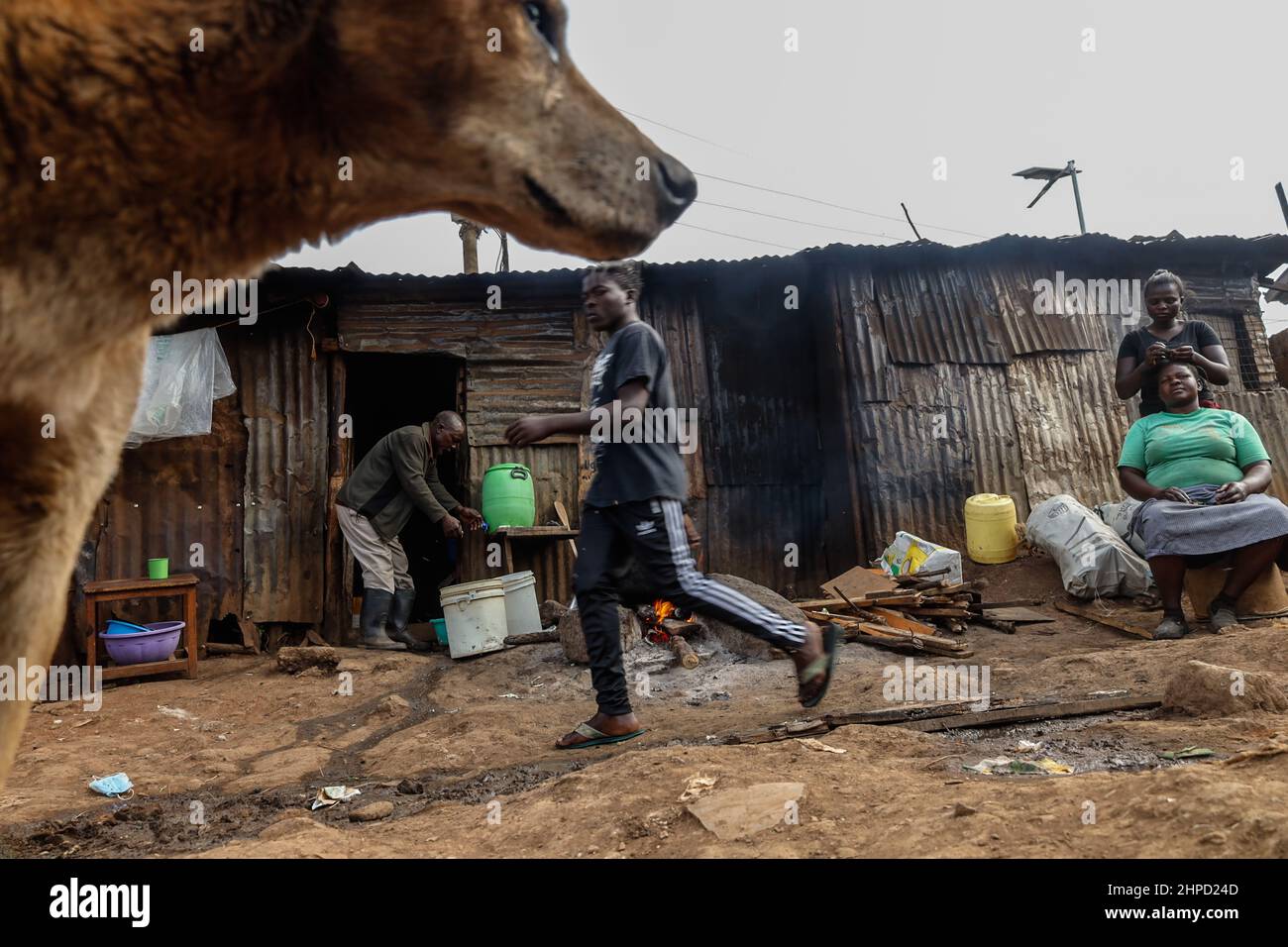 A stray dog waits outside a local restaurant in Kibera Slums, Nairobi ...