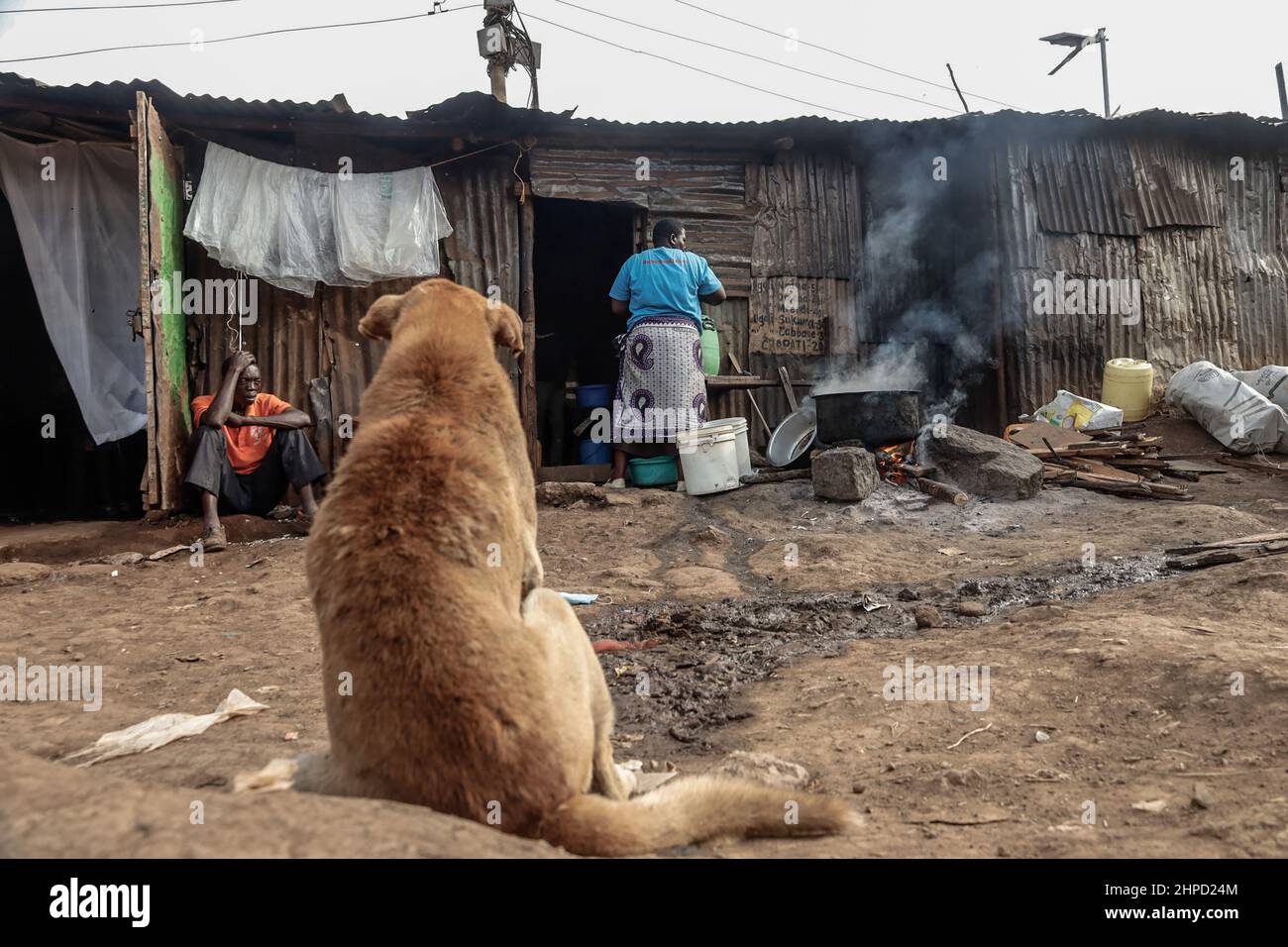 A stray dog waits outside a local restaurant in Kibera Slums, Nairobi ...