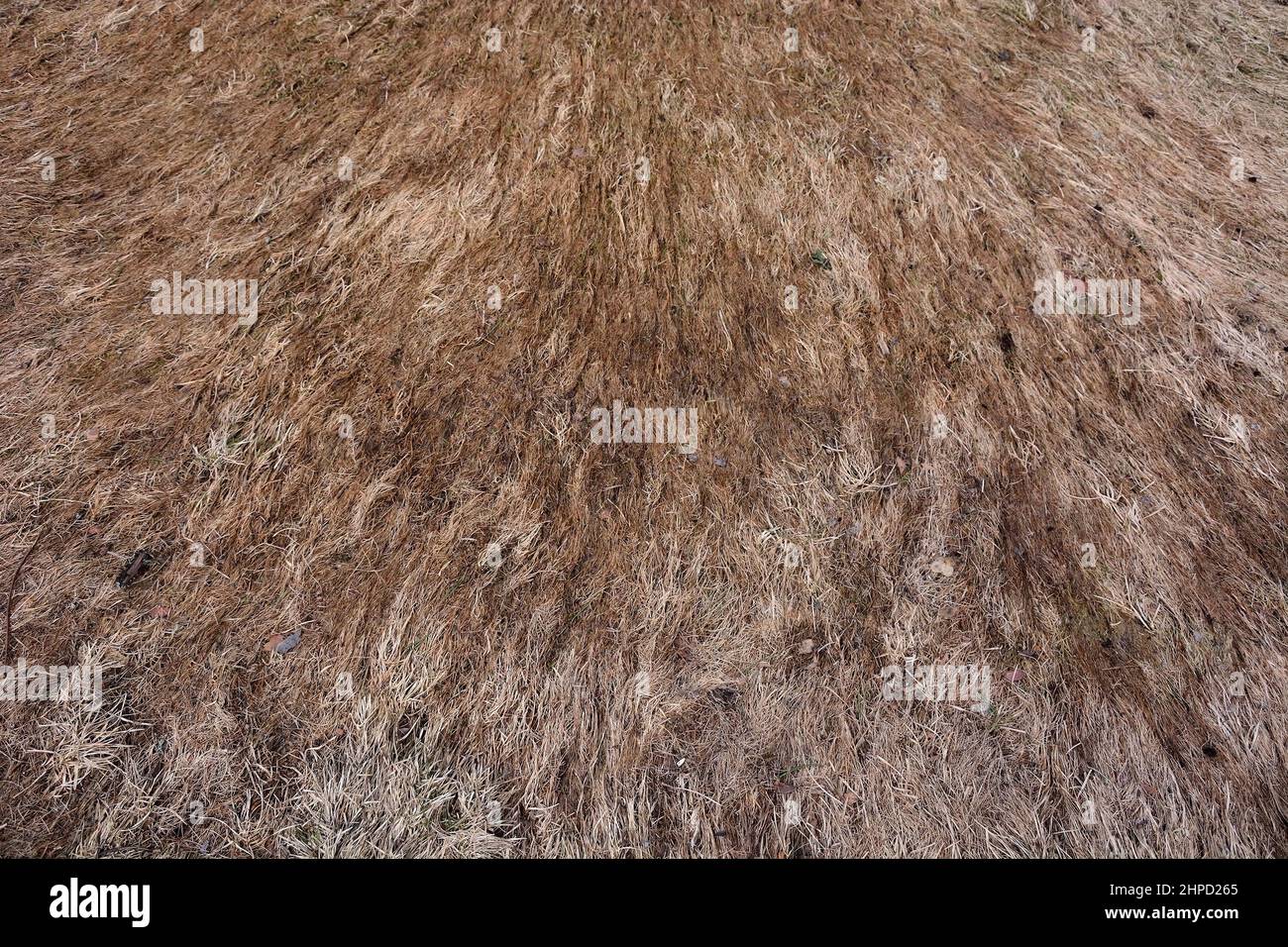 Old dry grass hi-res stock photography and images - Alamy