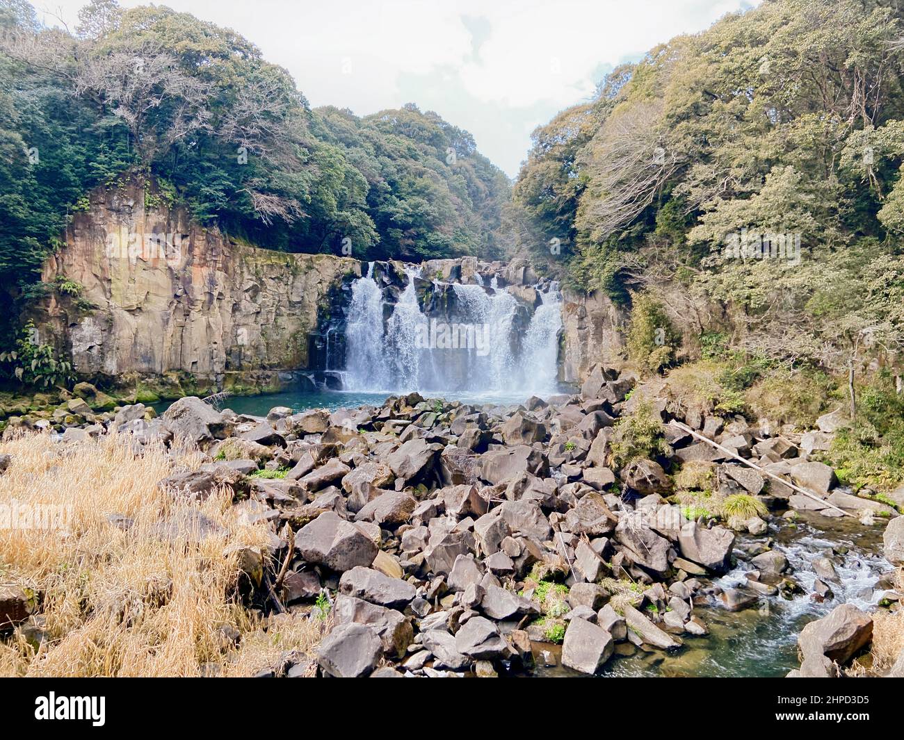 Natural waterfall coming out of a cliff full of trees Stock Photo - Alamy