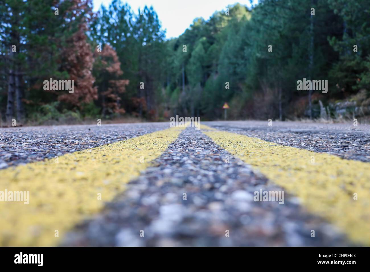 Way to the forest concept. Empty rural street drives to nature, blur ...