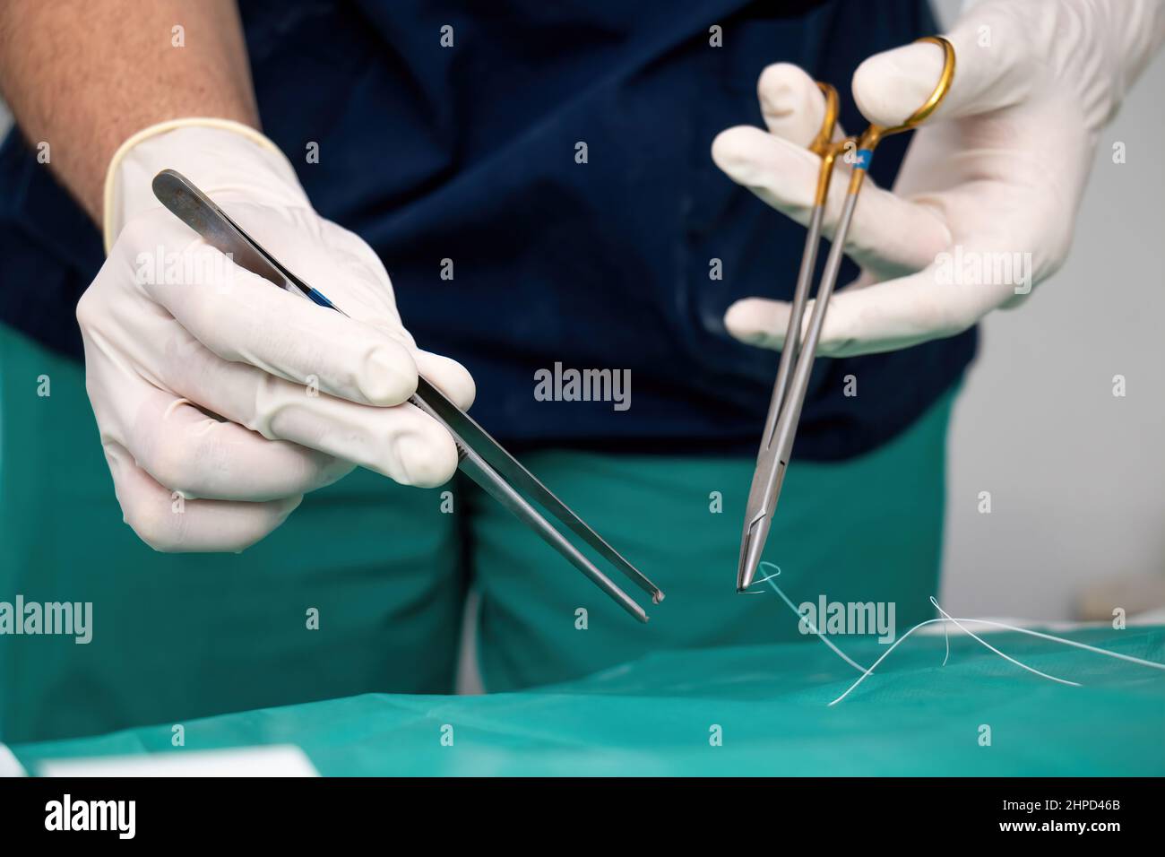 Doctor surgeon with disposable glove on hand holding forceps and ...