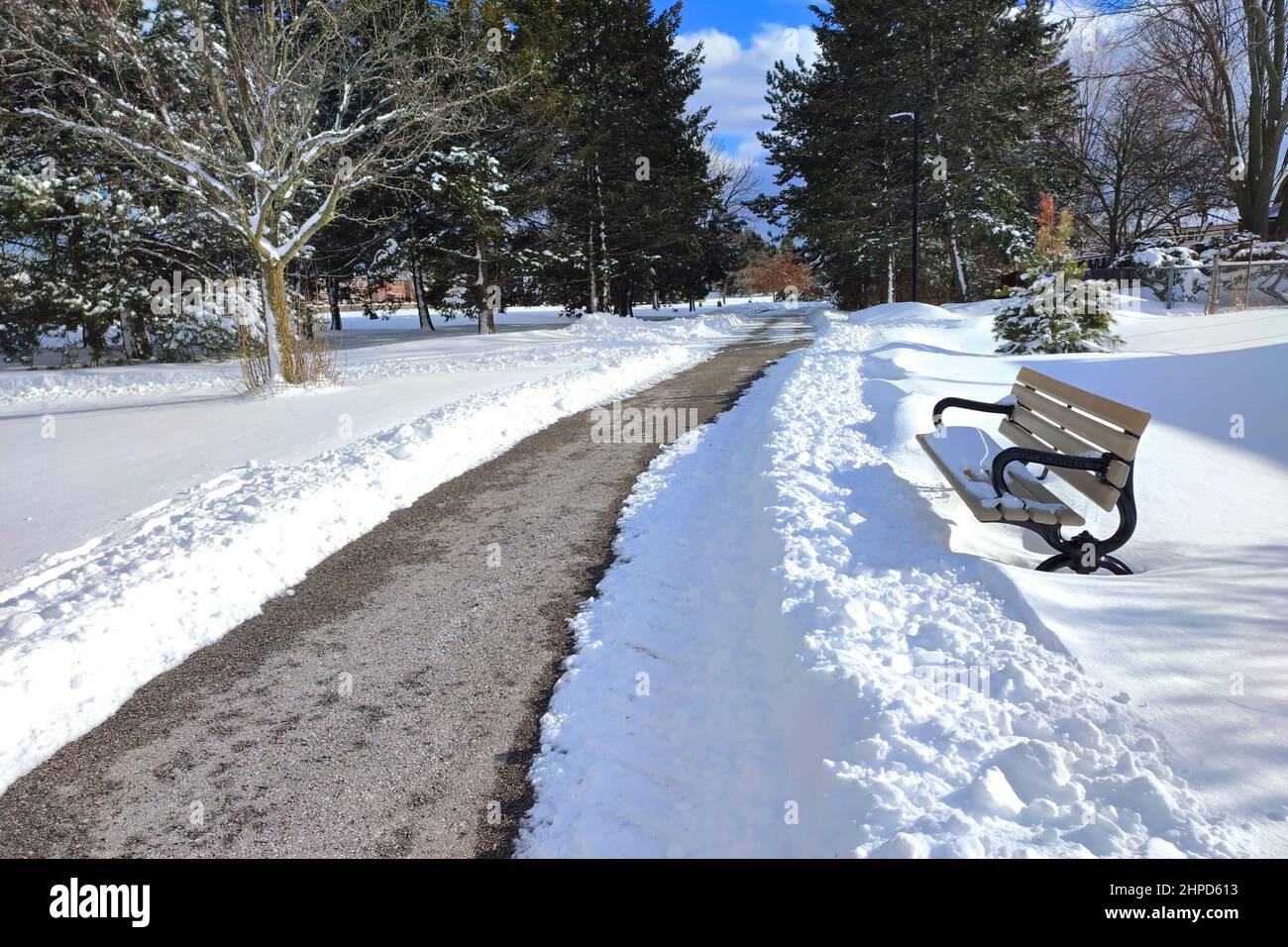 Heavy snow creates picturesque scenery of the footpath in the park with ...