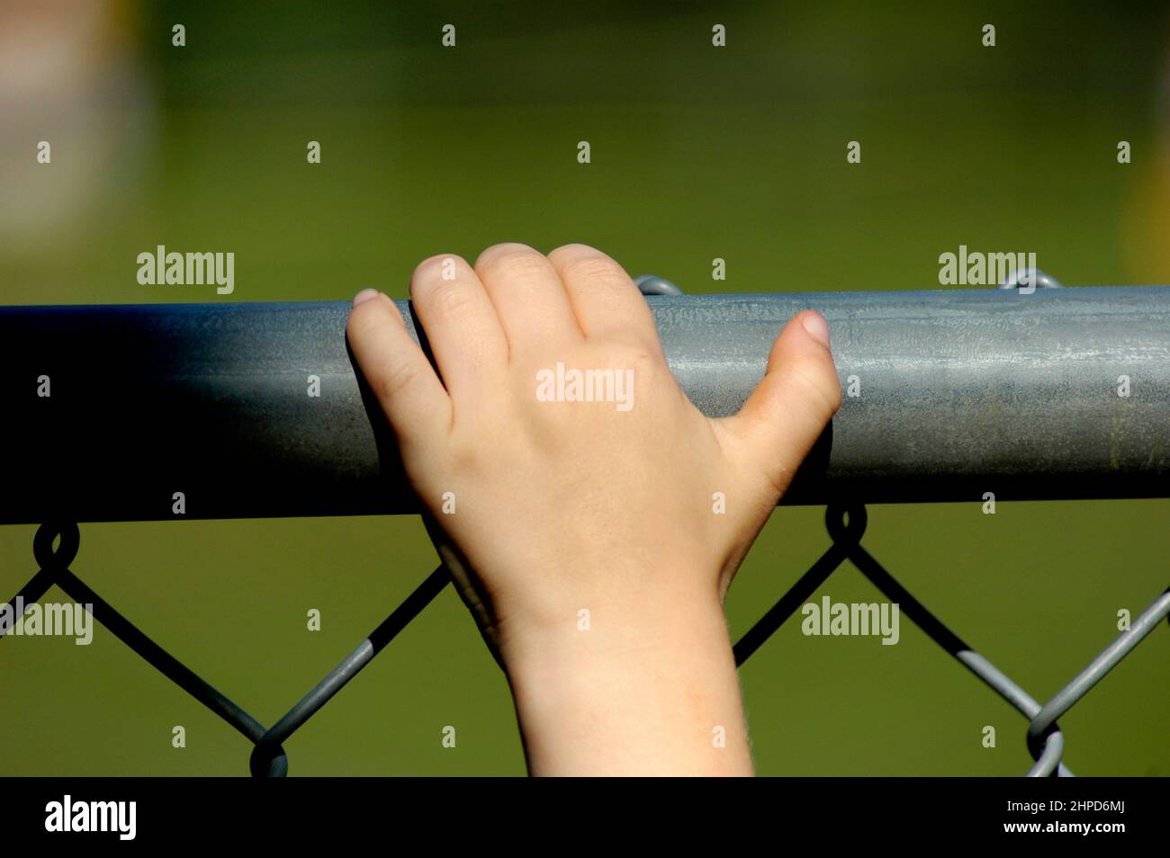 Hand on a fence Stock Photo - Alamy