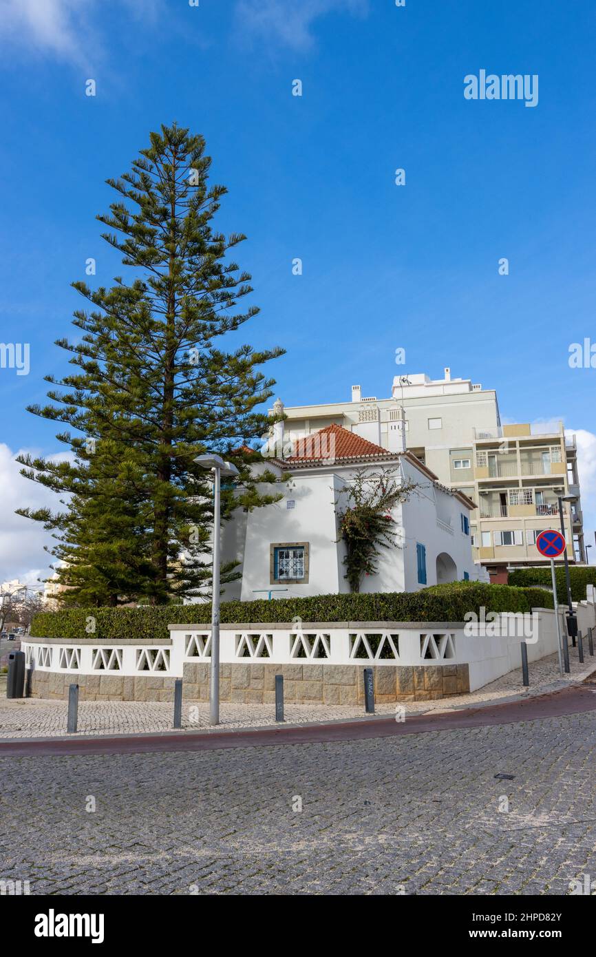Vertical shot of beautiful trees and buildings in the old town of ...