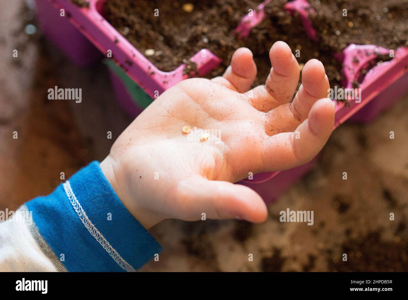 Kids planting seeds hi-res stock photography and images - Alamy