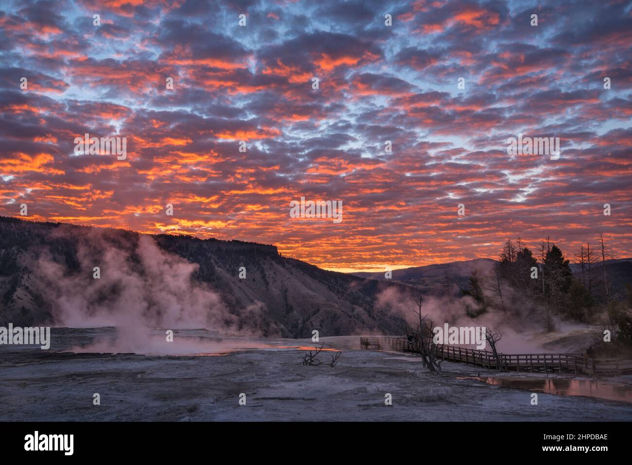 Sunrise clouds over Upper Mammoth Terrace, Yellowstone National Park ...
