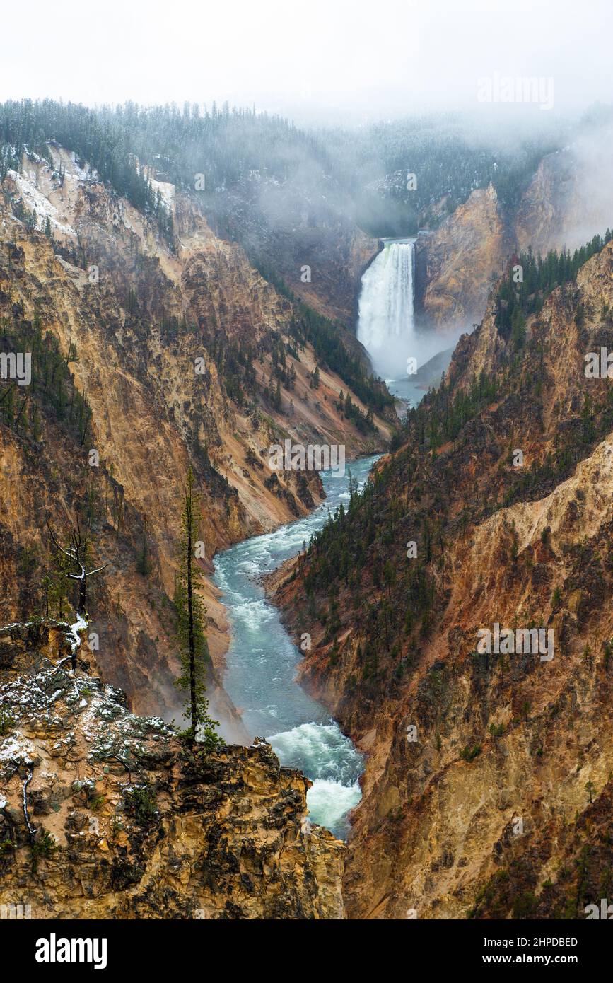 Yellowstone river with Lower Falls and the Grand Canyon of the ...