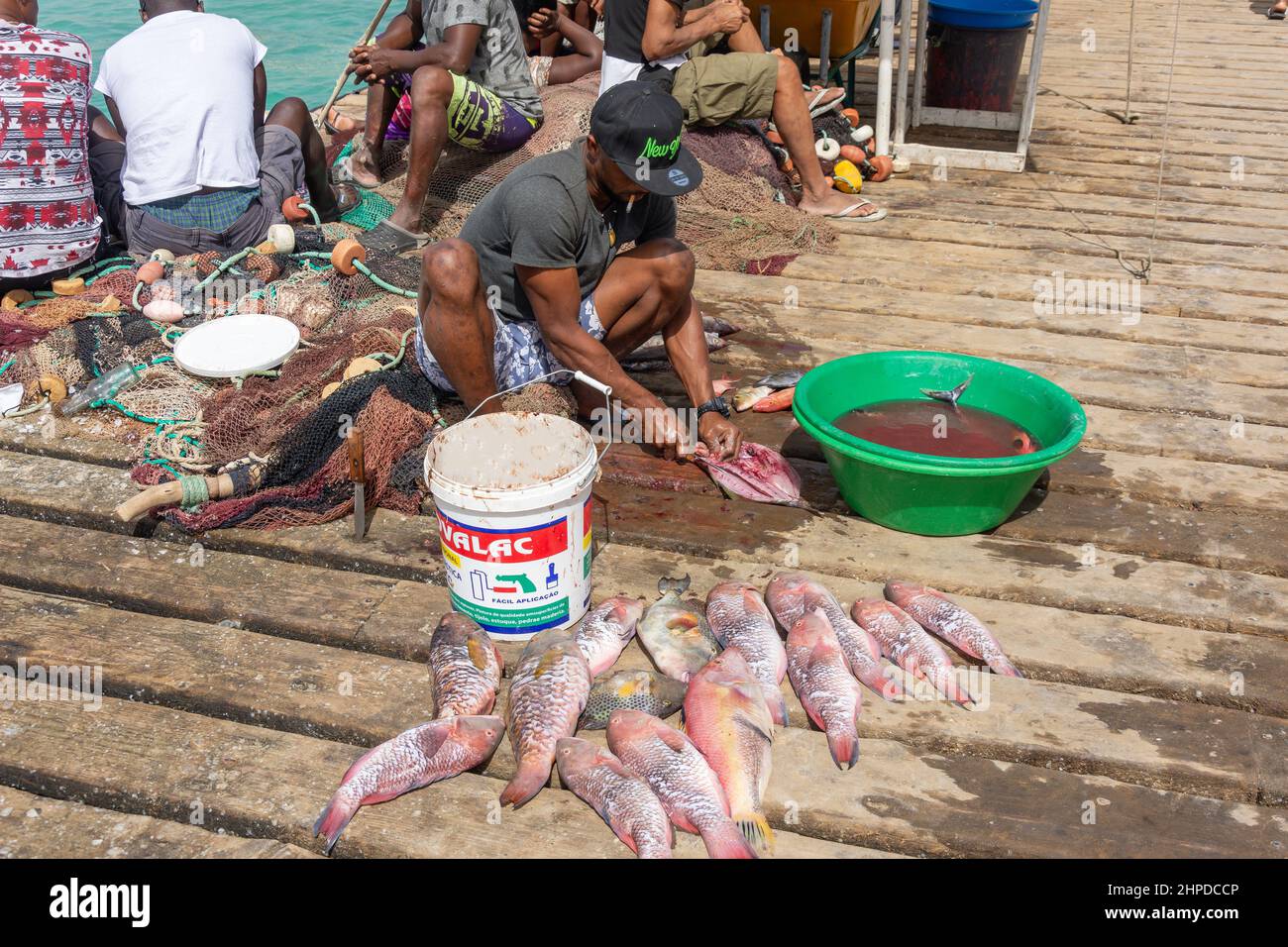 Cape town’s fish hi-res stock photography and images - Alamy