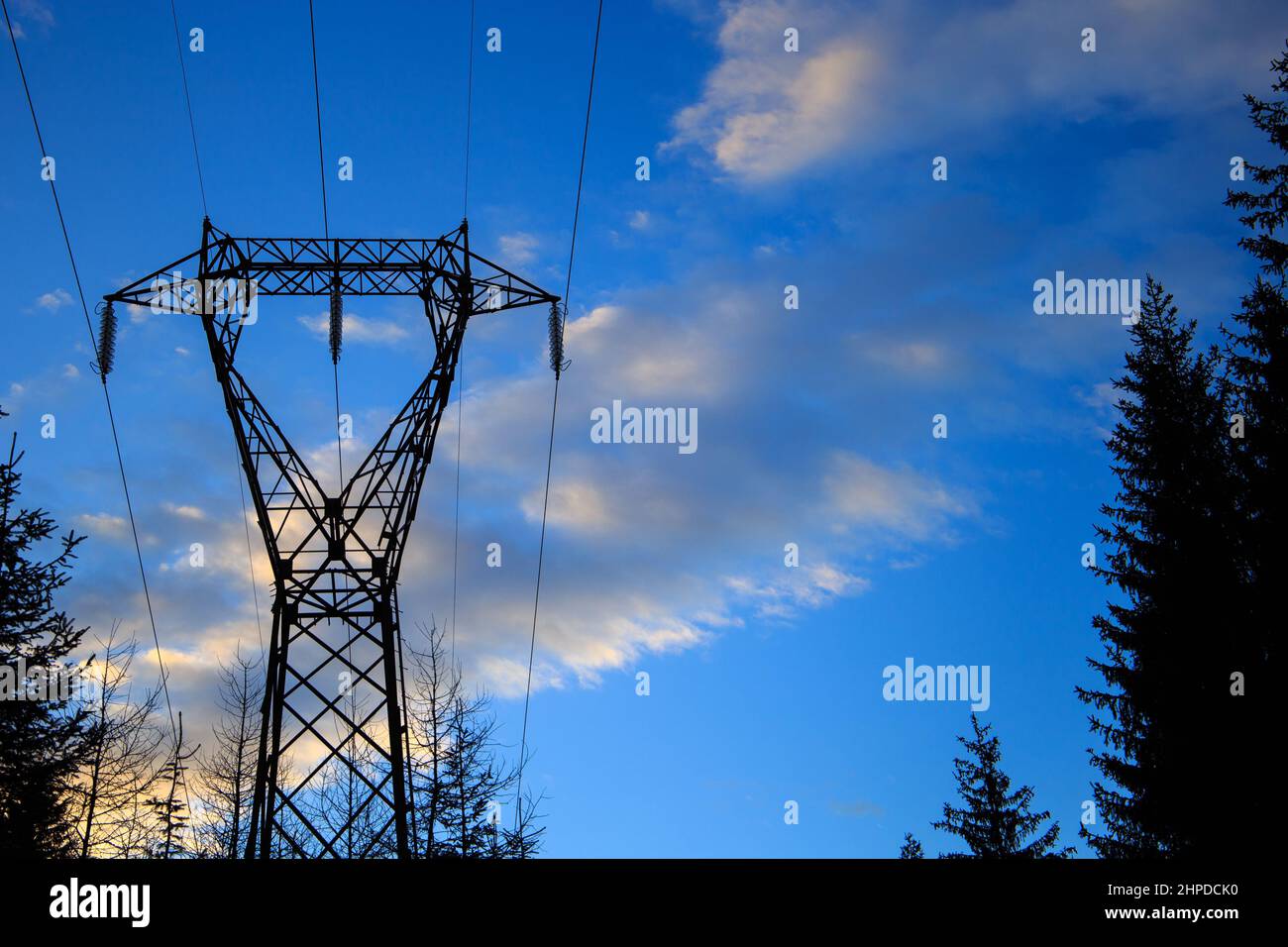 Low angle of a Mountain Electricity pylon with pine trees Stock Photo ...