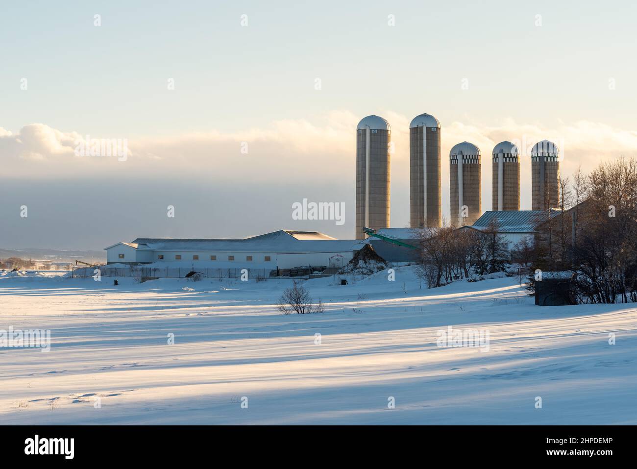 In the winter a farm under the snow in the rural Quebec, in the ...