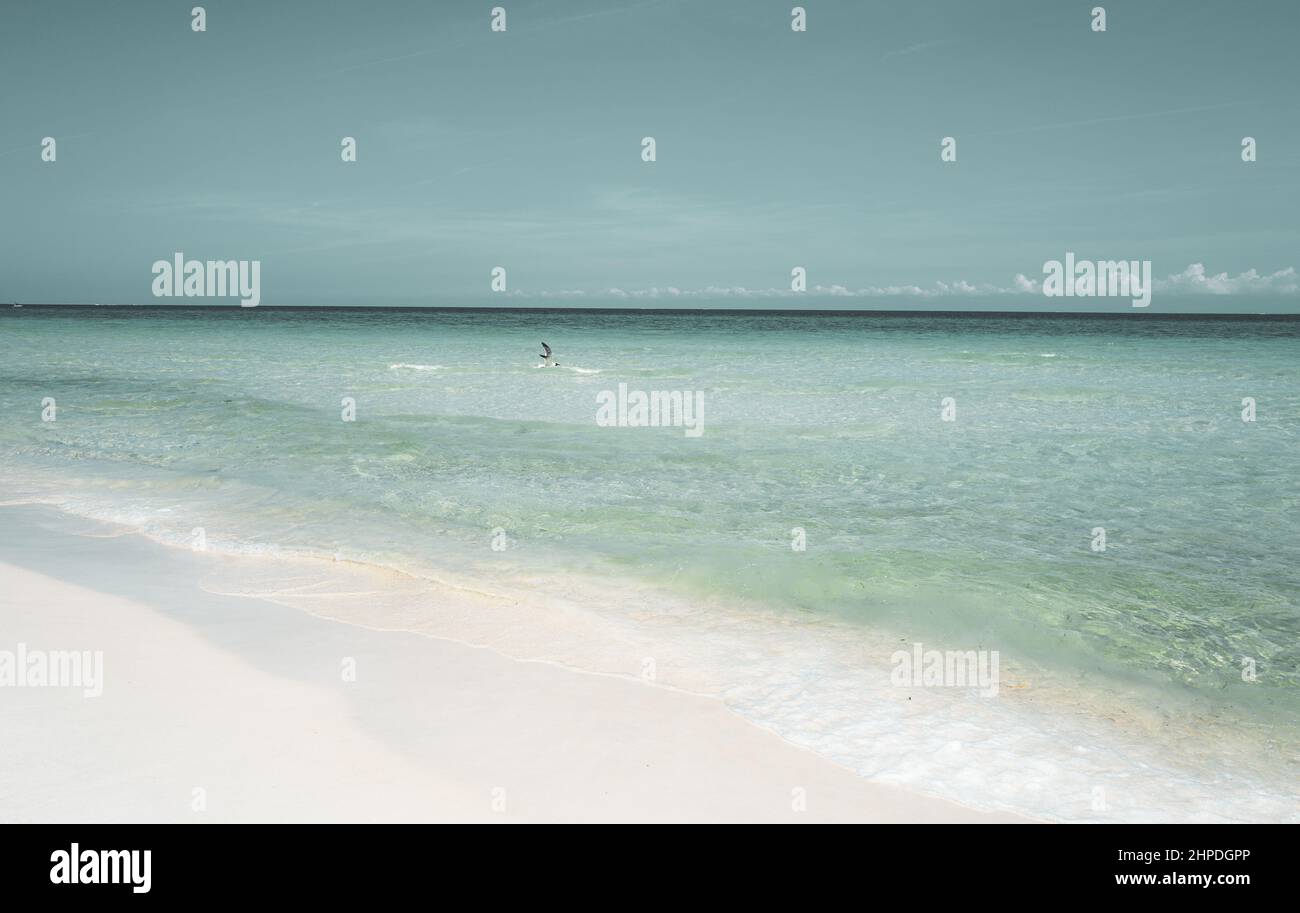 Summer beach and sea. Perfect ocean background. Beautiful sea wave and ...