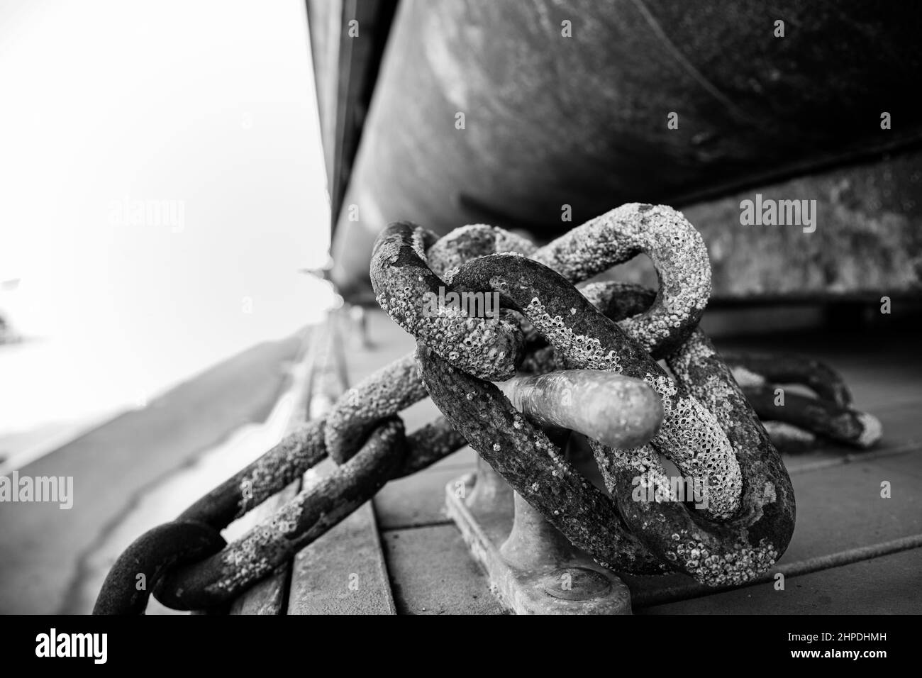 Closeup grayscale shot of a Mooring Chain on cleat with barnacles Stock ...