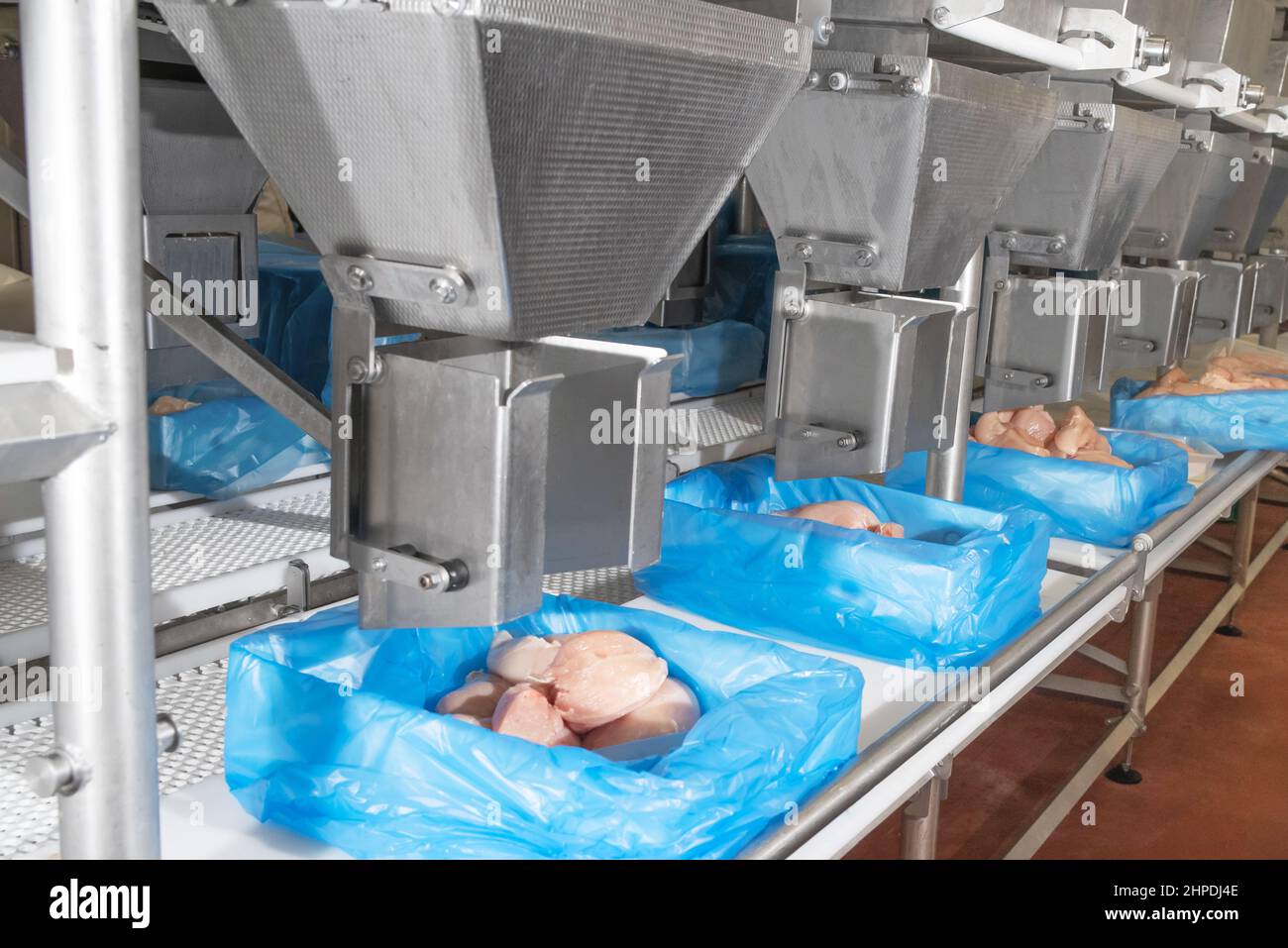 Line for the production of semi-finished meat products.Meat processing ...