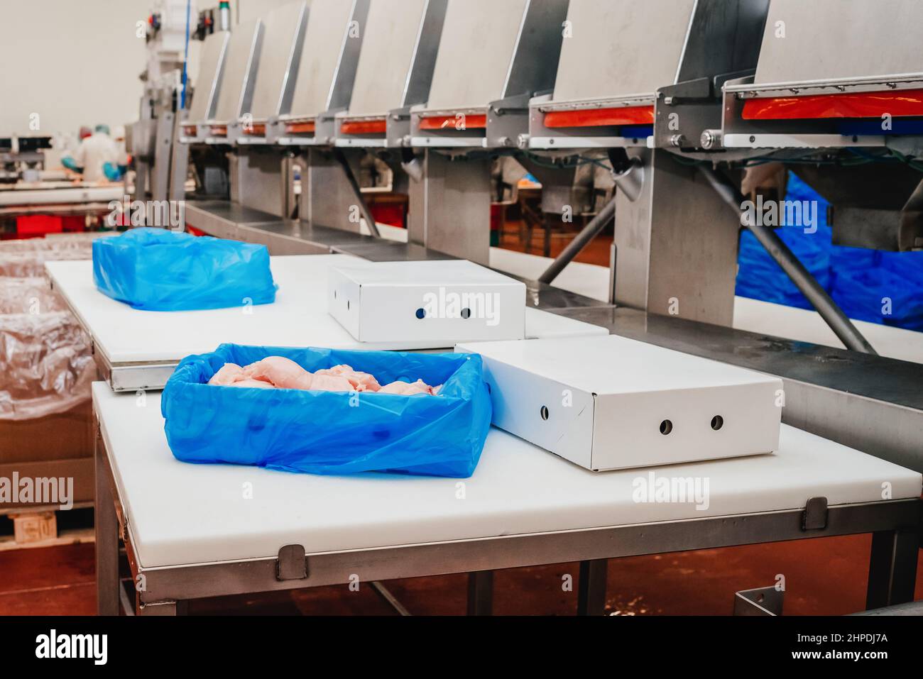 Line for the production of semi-finished meat products.Meat processing ...