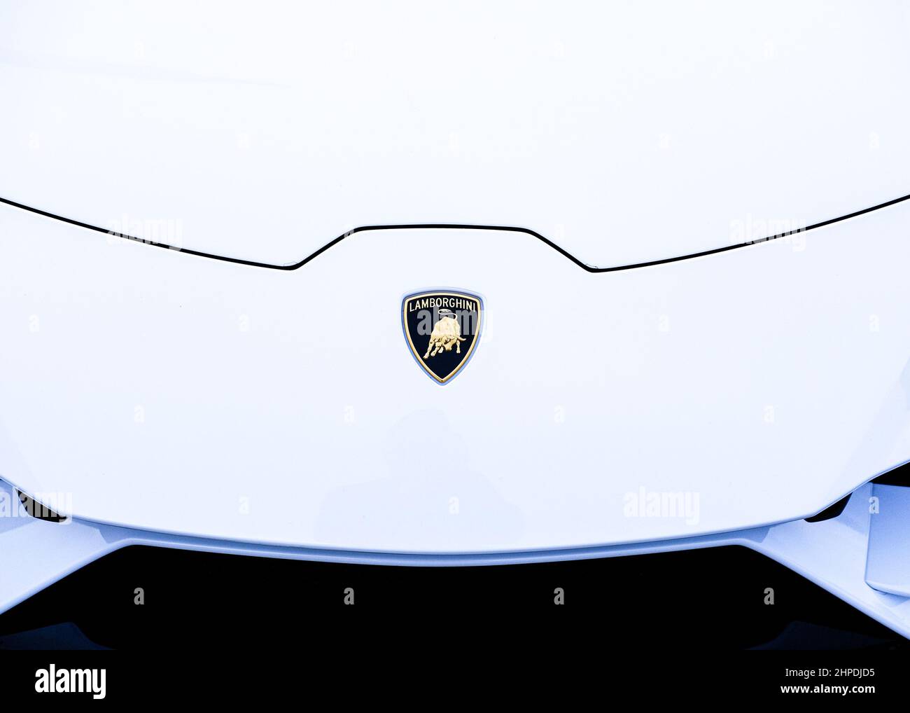 White Lamborghini Cars Logo