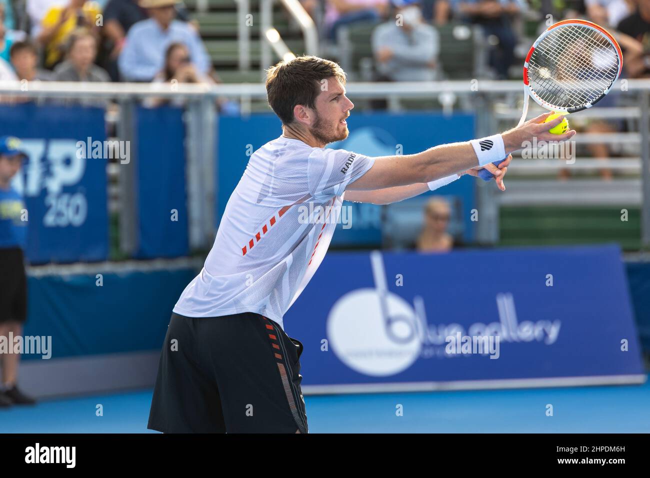 Singles Final: Cameron Norrie (GBR) WINNER during ATP Champions ...