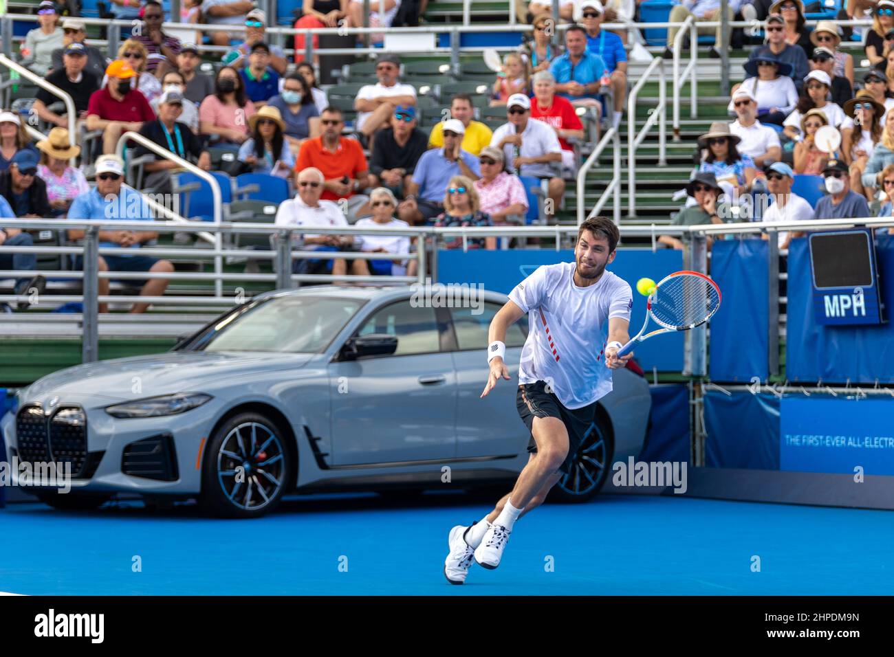 Singles Final: Cameron Norrie (GBR) during ATP Champions, Legends Tour ...