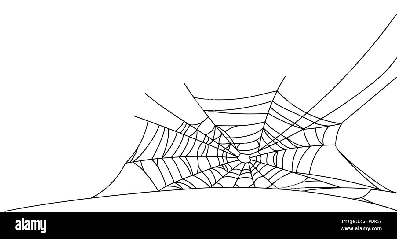 Spider web parts isolated on white background. Scary cobweb outline ...