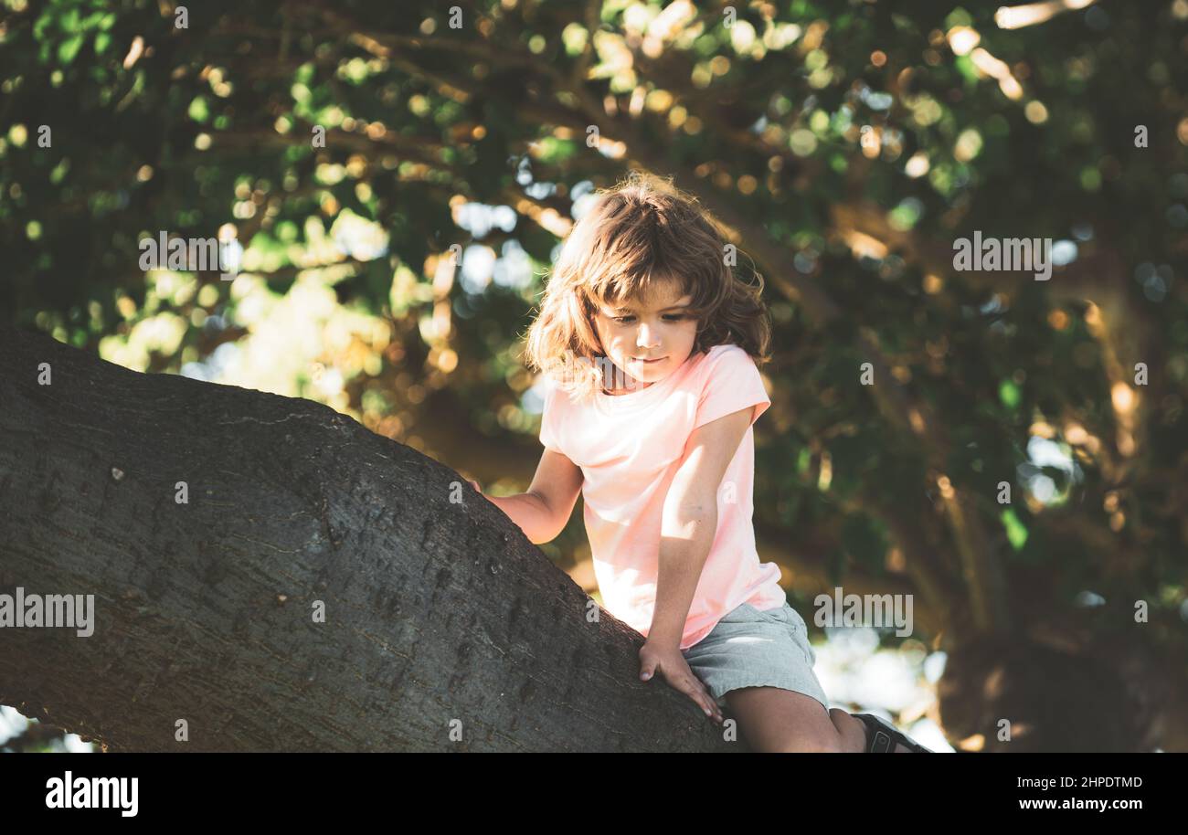 Child climb up tree and having fun in summer park. Cute kids boy ...