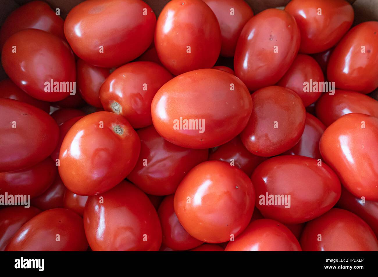Pile of fresh raw tomatoes on display in shop Stock Photo - Alamy