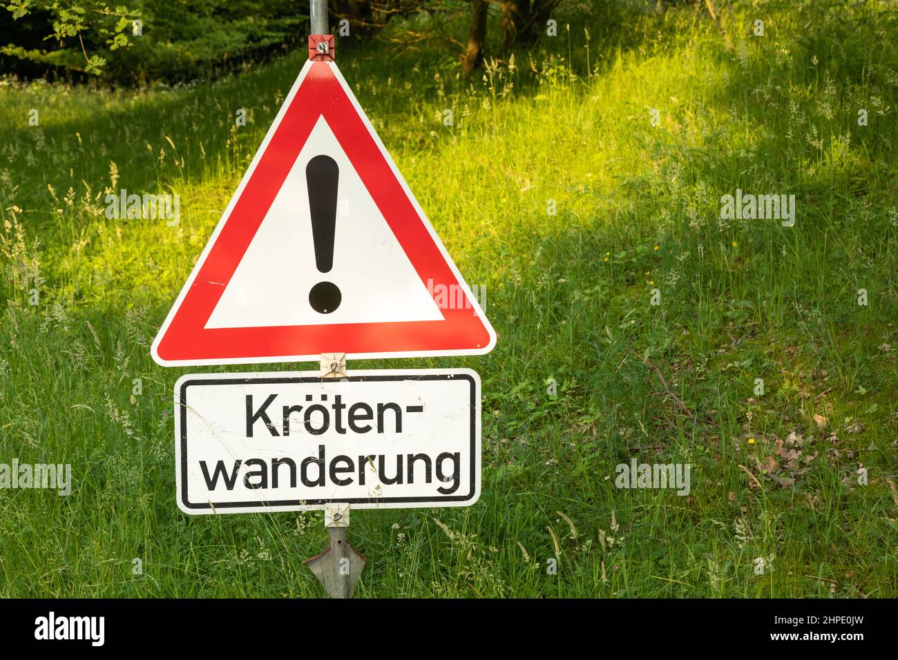 German sign warning about toad migration Stock Photo - Alamy