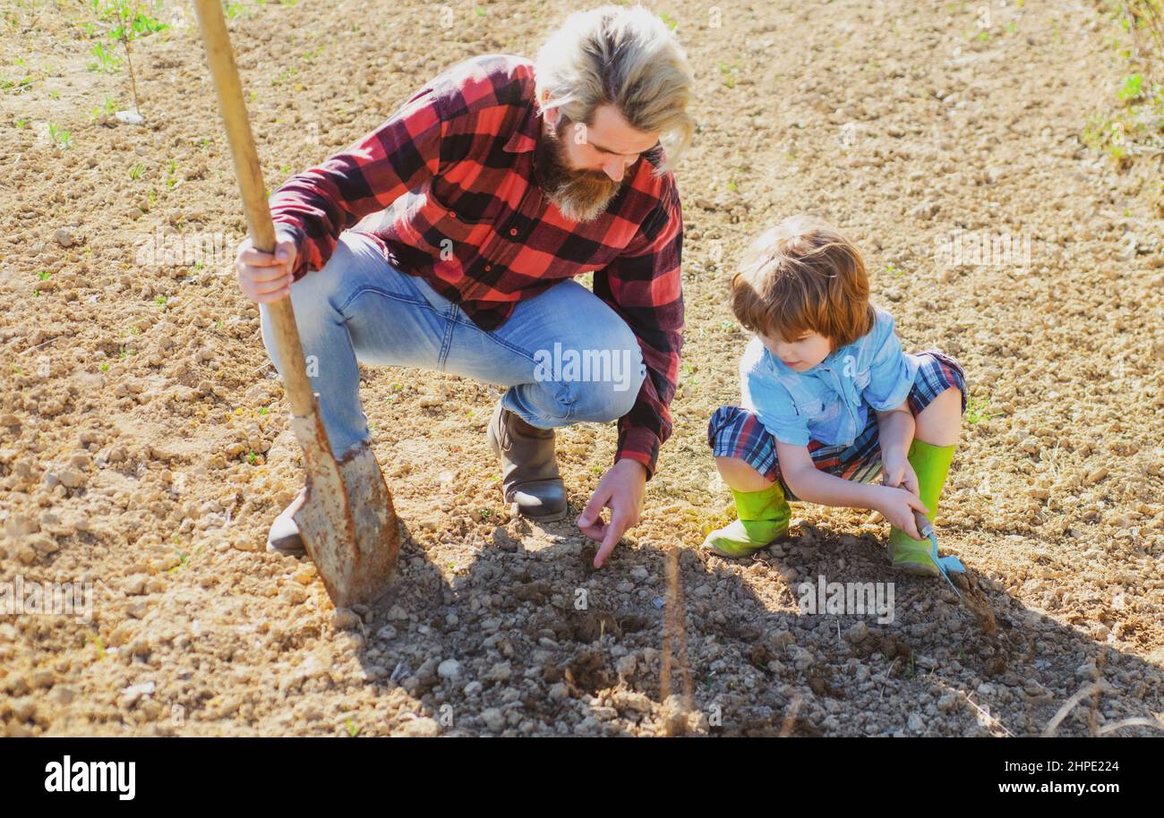 Father seeding plants with son. Dad helping kid gardening in garden ...