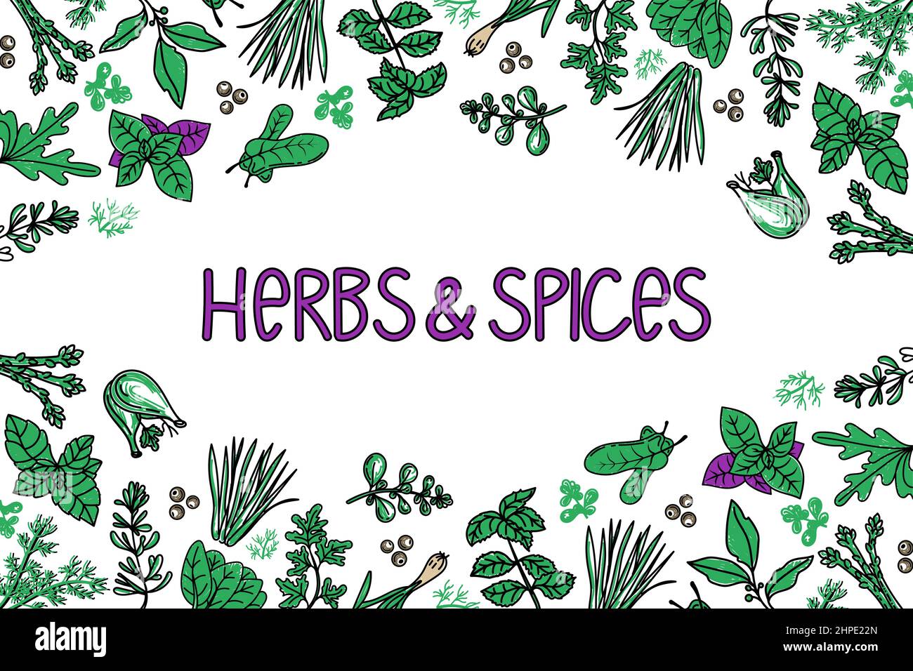 Herbs and spices packaging design template, drawn element in style ...