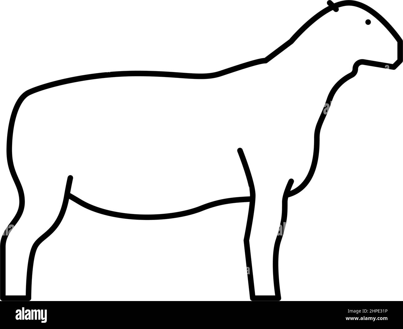 dorper sheep line icon vector illustration Stock Vector Image & Art - Alamy