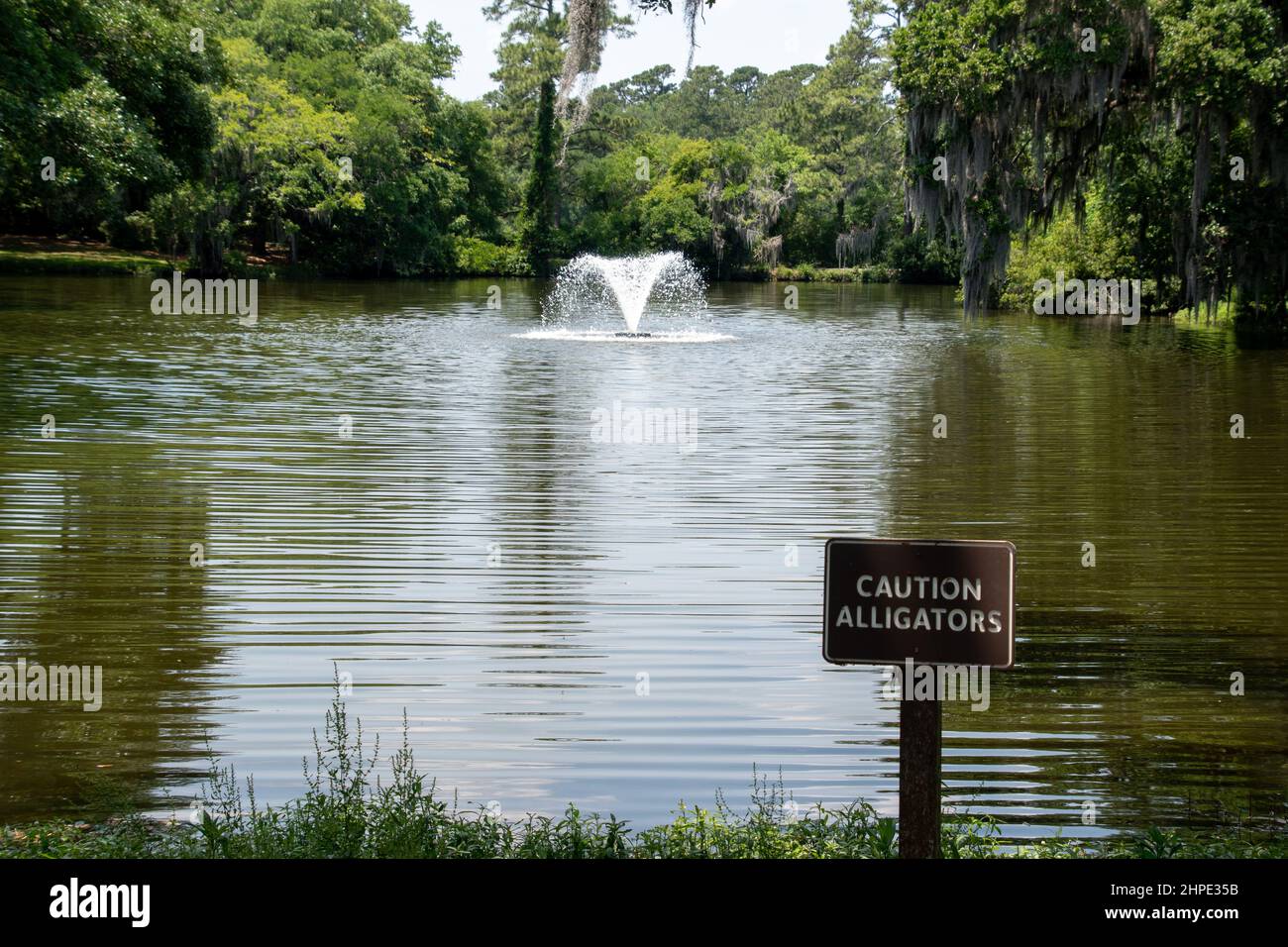 Green pond south carolina hi-res stock photography and images - Alamy