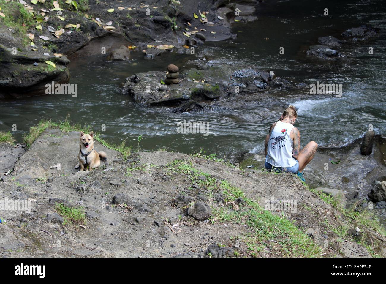 Foreigners and a dog meditating around Gunung Lebah River close to ...