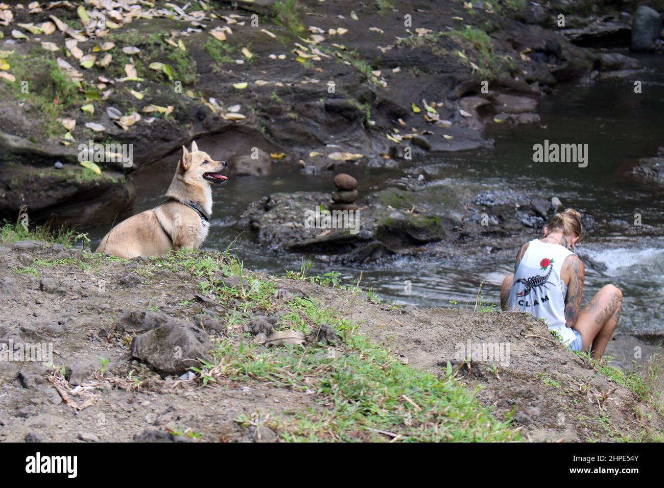 Foreigners and a dog meditating around Gunung Lebah River close to ...