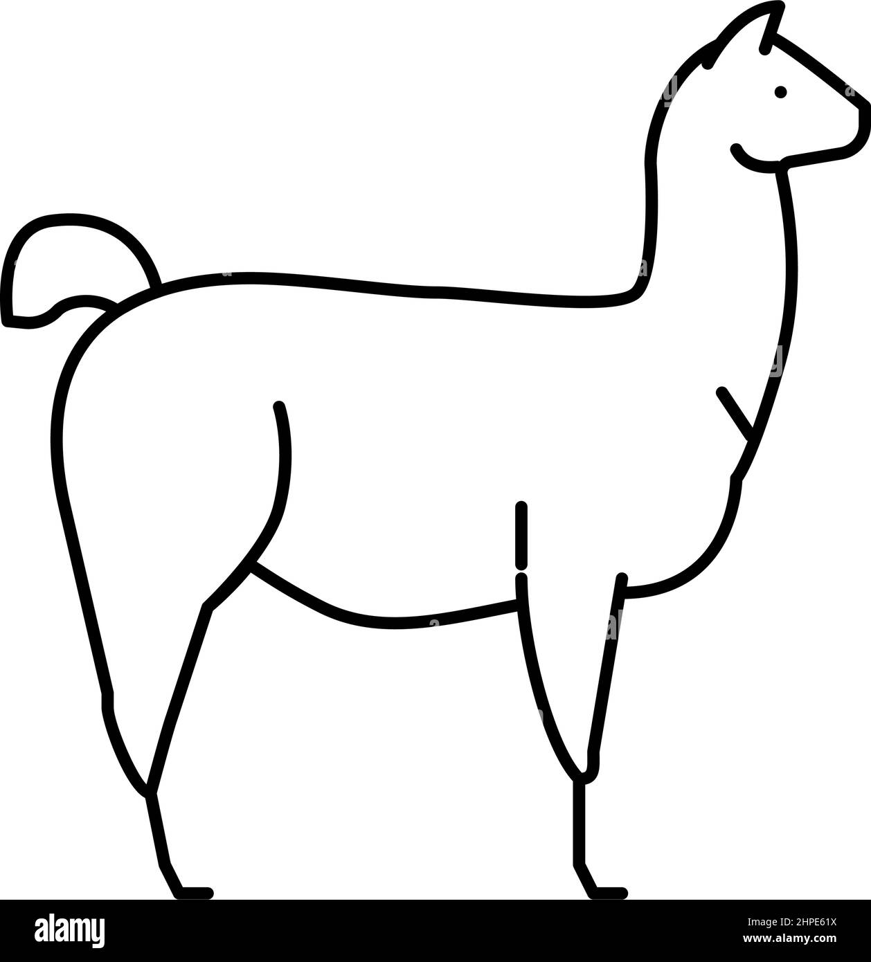 African lama Stock Vector Images - Alamy