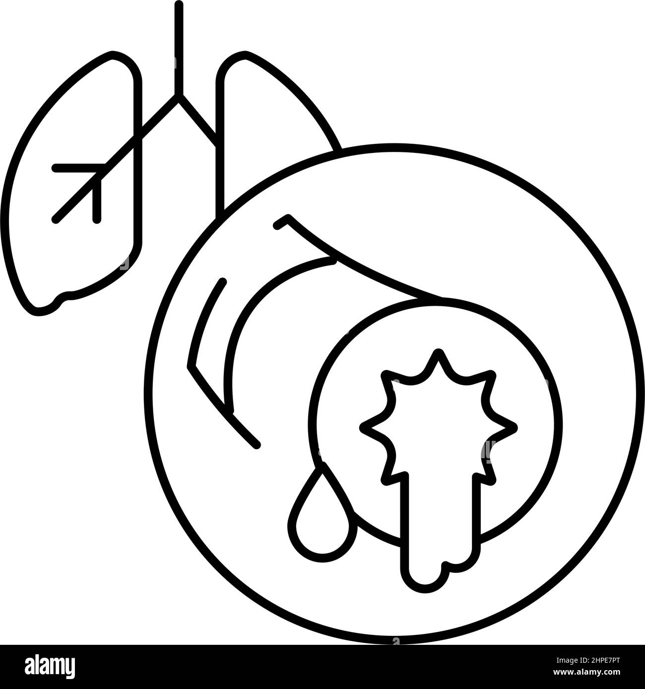 bronchiectasis respiratory disease line icon vector illustration Stock ...